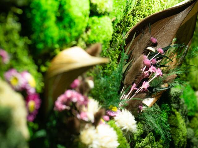 stunning Preserved Moss Wall Art With Led Lights Live Artwork Lighted ...