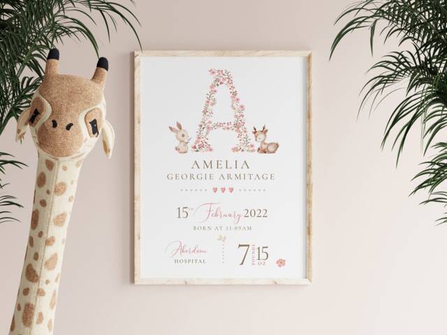 New Baby Personalised Print - Keepsake Gift Birth Details Girl Newborn ...