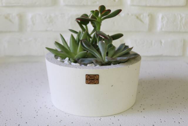 Cylindrical White Concrete Planter - Beton Plant Pot Industrial ...