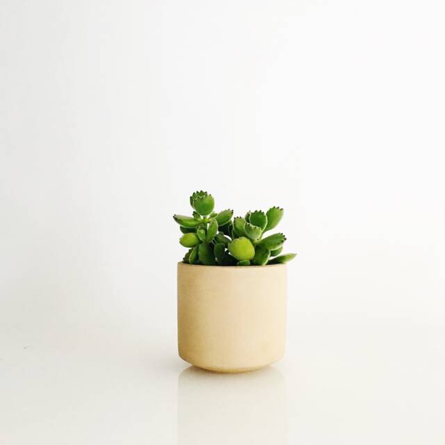Small Straight Sided Concrete Pot/Blush by Etsy | ufurnish.com
