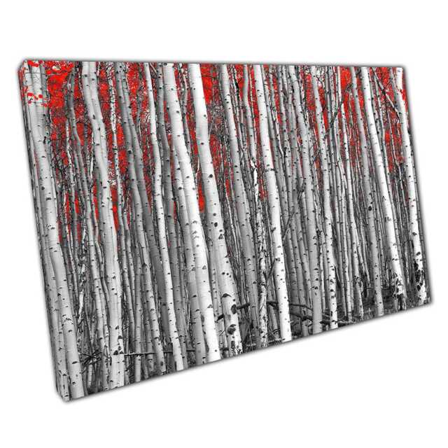 Birch Forest Canvas Black & White Abstract With Red Leaves - Modern ...