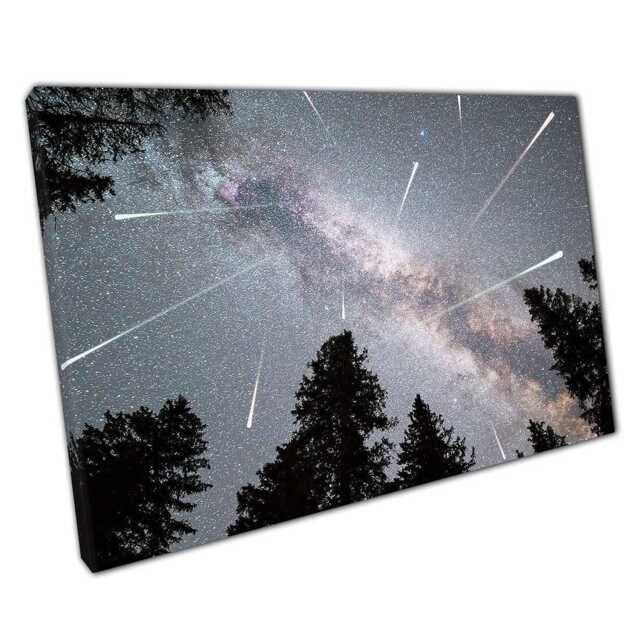 Perseid Meteor Shower Canvas Print Pine Trees Night Sky Wall Art For ...