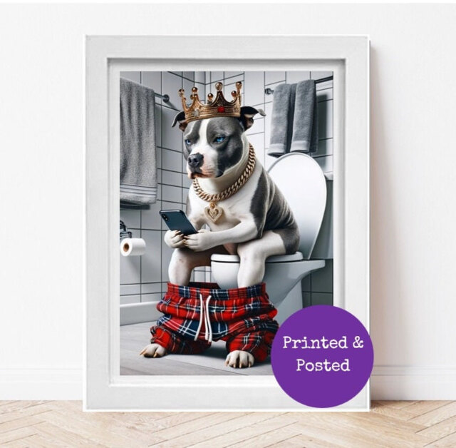 Staffordshire Bull Terrier Sitting On Toilet - Staffy Mobile Phone ...
