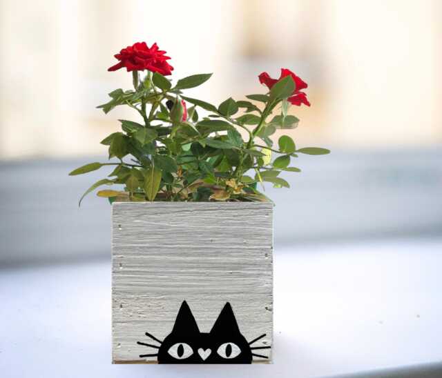Black Cat Planter Whitewashed Rustic Wood Succulent Box by Etsy ...