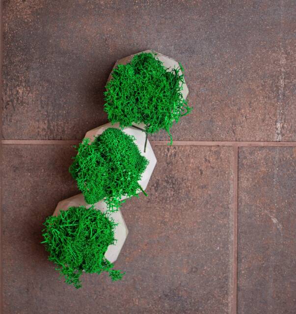 Natural Green Moss Decor, Concrete Pots, Wall Eco Art, Preserved Moss ...