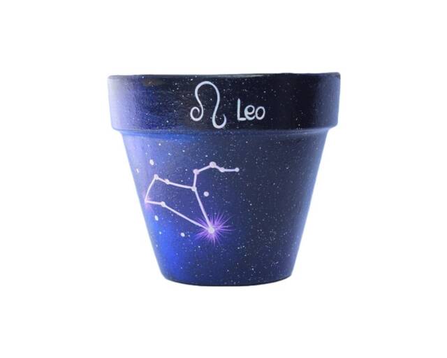 Zodiac Leo Indoor Plant Pot With Saucer by Etsy | ufurnish.com