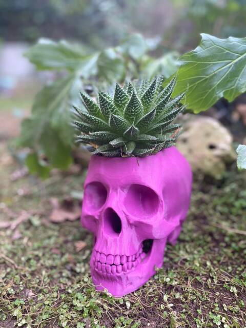 Skull Pot/Human Skull Realistic Planter by Etsy | ufurnish.com