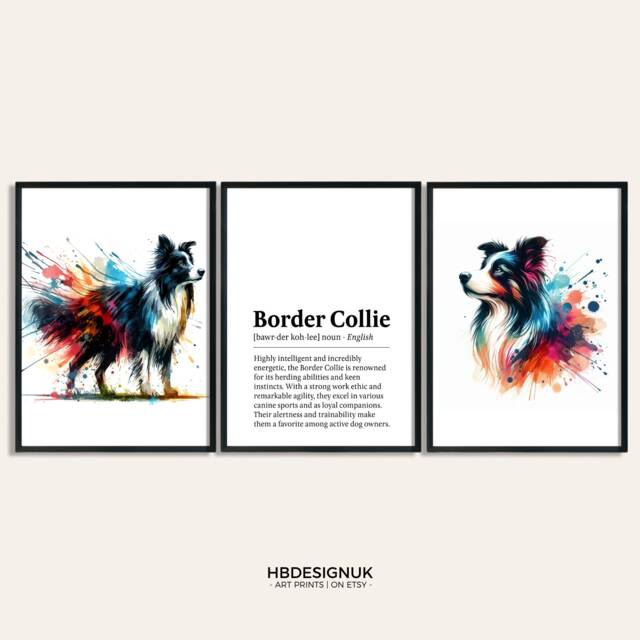 Border Collie Dog Prints - Set Of 3 Posters - Watercolour Definition ...