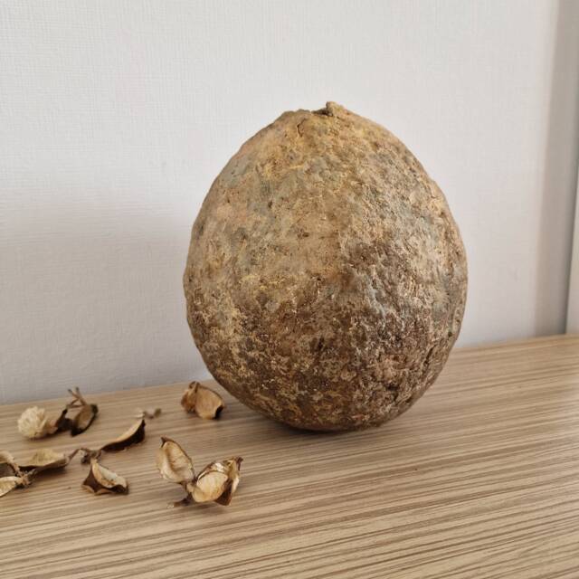 Antique Paper Mache Spherical Vase, Coffee Table Sustainable Decor ...