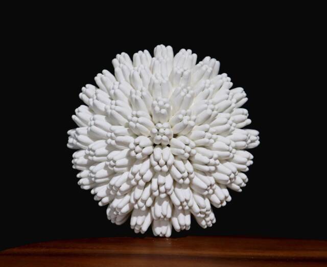 White Textured Clay Wall Art Round Sea Urchin Coral Inspired Sculpture ...