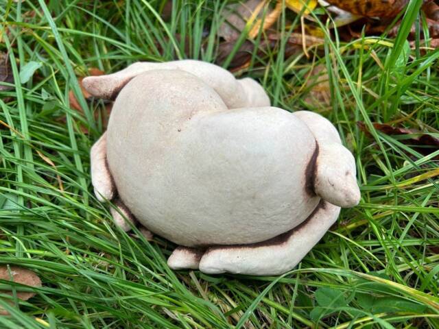 Love Symbol Statue, Stone Heart in Hands, Valentines Day Gift, Garden ...