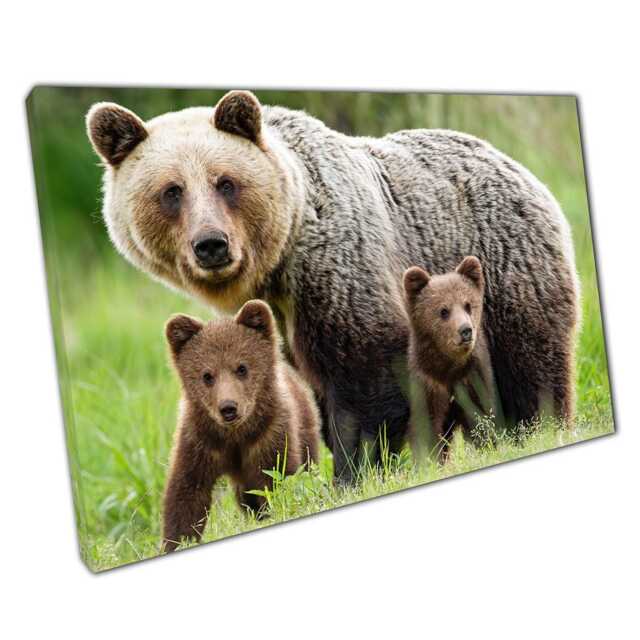 Rustic Wildlife Canvas Brown Bear Family Wall Art For Home, Office ...