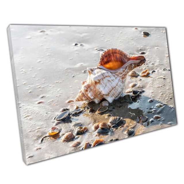 Coastal Canvas Print Ocean Shell Wall Art For Beach-Inspired Home ...