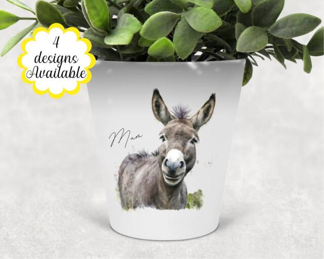 Personalised Cheeky Donkey Plant Pot - Cute Animal Design Makeup Brush ...