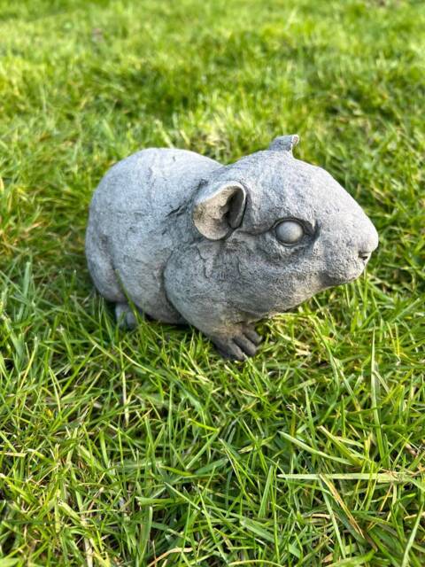 Stone/Concrete Guinea Pig Garden Ornament Statue by Etsy | ufurnish.com