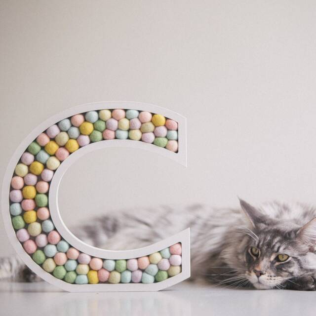 Wooden Felt Ball Letter - Filled Pom A-Z Home Decor Letter, Initials Or ...