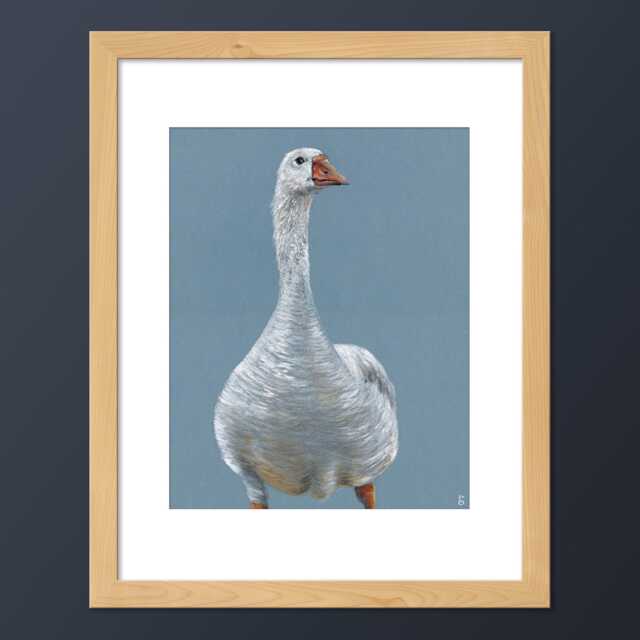 White Embden Mother Goose Bird Art Print by Etsy | ufurnish.com