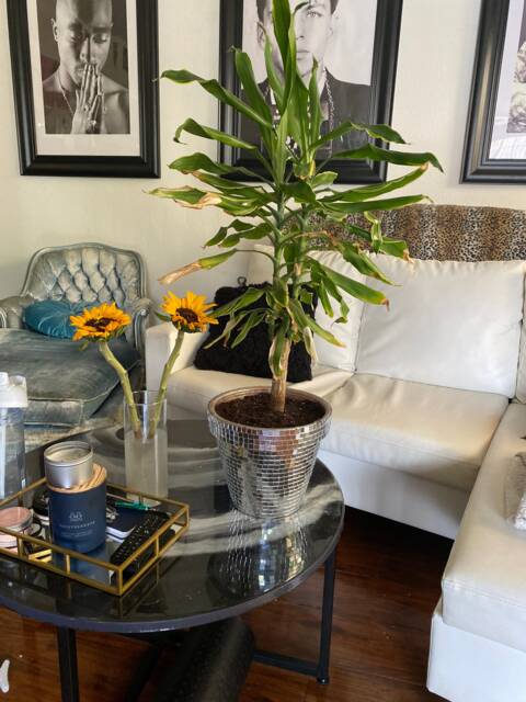 Large Gardening Disco Ball Pot by Etsy | ufurnish.com