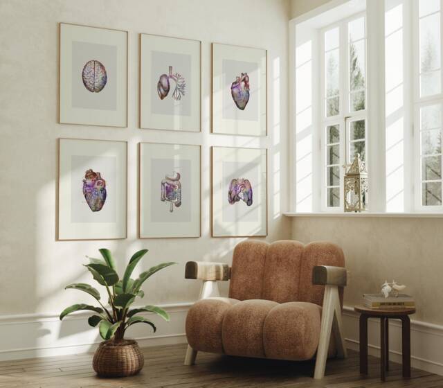 Set Of 6 Antique Anatomy Prints - Six Human Medical Drawing Posters ...