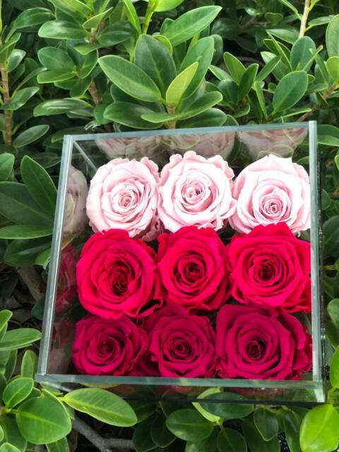 Personalized Acrylic Boxes- Ombre, Custom Design With Preserved Roses ...