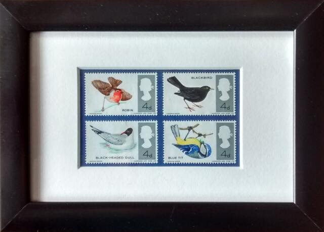 Garden Birds Stamps, Mint Framed From 1966, 60Th Birthday Stamps by ...