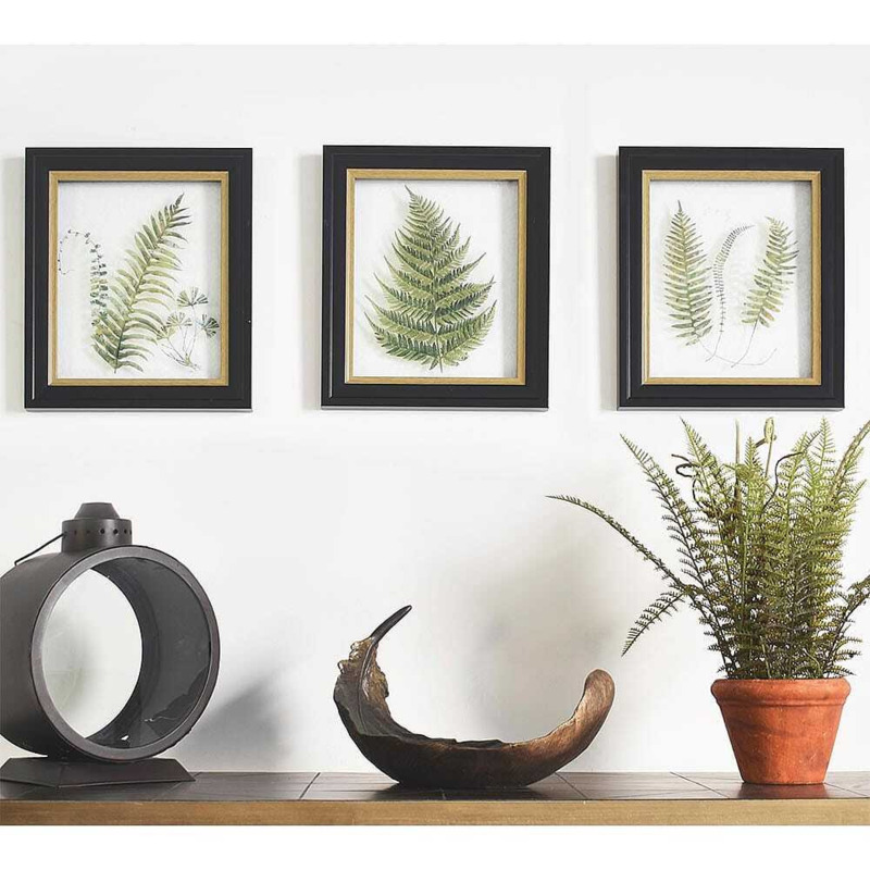 Botanist's Book Fern Frame Set by French Bedroom | ufurnish.com