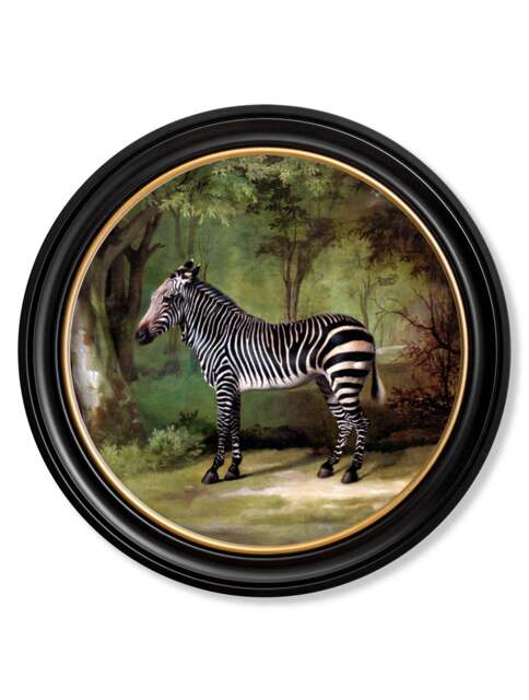 c.1763 George Stubb's Zebra - Round Frame by Furniture Edit | ufurnish.com