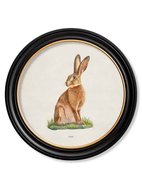 Hare - Round Frame by Furniture Edit | ufurnish.com