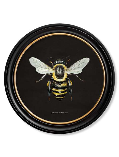 c892 British Bees Round Frame - Dark - 70 x 70cm / Oxford Round ...