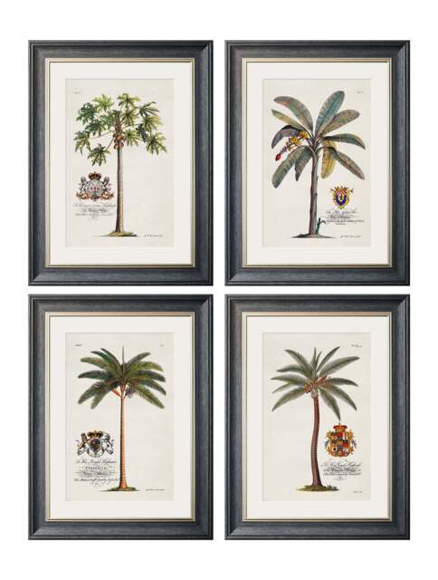 Studies of Palms by Furniture Edit | ufurnish.com