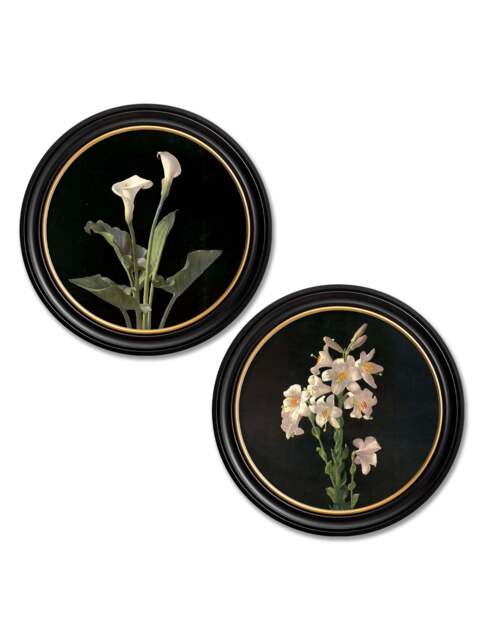 c.1874 George Cochran Lambdin Lillys - Round Frame by Furniture Edit ...