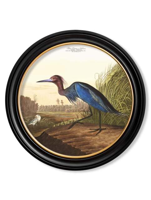 c.1838 Audubon's Herons in Round Frames - 70 x 70cm / Oxford Round ...