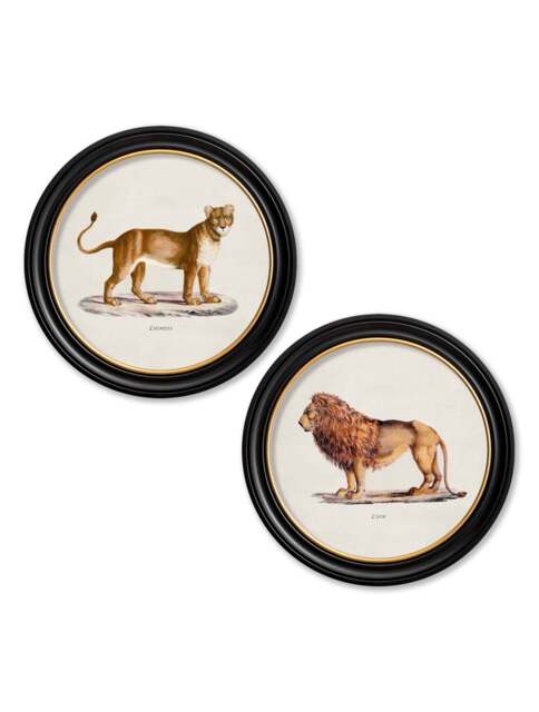 c.1800s Lion & Lioness - Round Frames by Furniture Edit | ufurnish.com