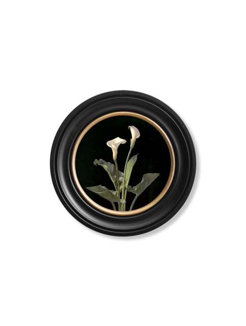 c.1874 George Cochran Lambdin Lillys - Round Frame - 44 x 44cm / Oxford ...