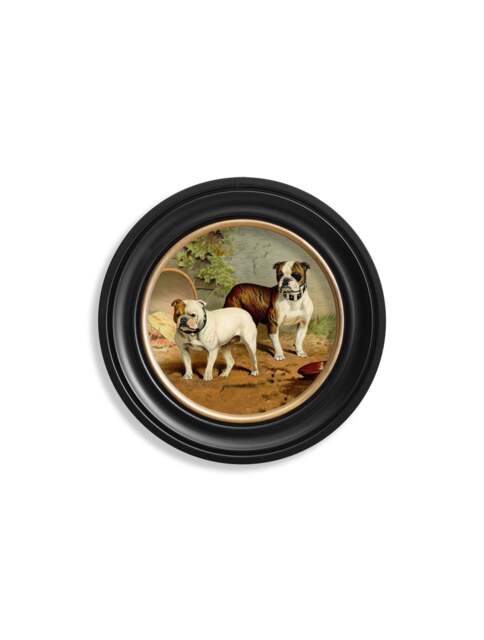 c.1881 Dogs - Round Frame - 44 x 44cm / Oxford Round / Bulldogs by ...