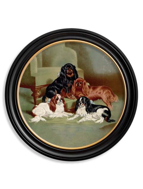 c.1881 Dogs - Round Frame - 70 x 70cm / Oxford Round / Toy Spaniels by ...