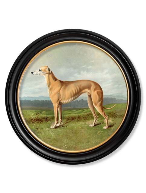 c.1881 Working Dogs - Round Frame - 70 x 70cm / Oxford Round / Grey ...