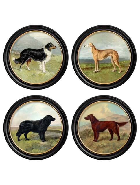 c.1881 Working Dogs - Round Frame by Furniture Edit | uFurnish.com