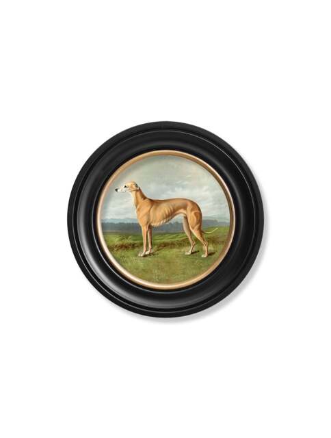 c.1881 Working Dogs - Round Frame - 44 x 44cm / Oxford Round / Grey ...
