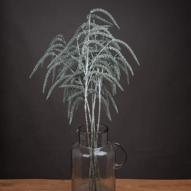 Festive Amaranthus by Furniture Edit | ufurnish.com