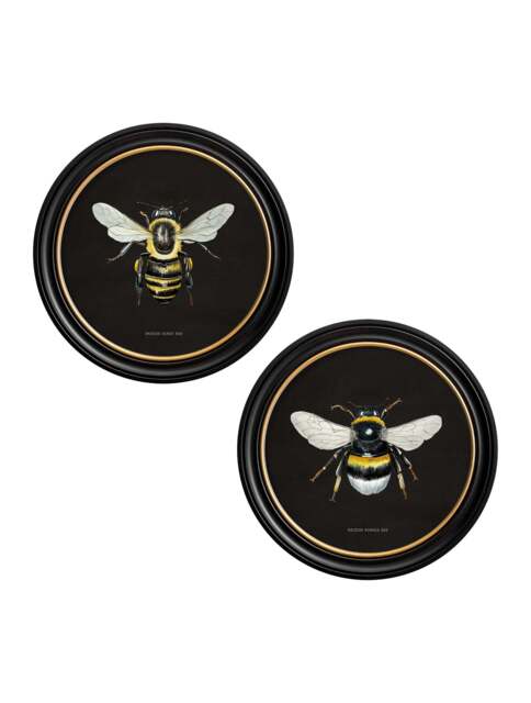c892 British Bees Round Frame - Dark - 44 x 44cm / Oxford Round ...