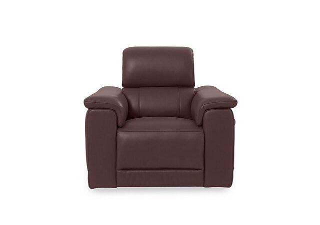 Genius Leather Power Recliner Chair with Power Headrest by Furniture ...