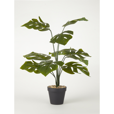 Artificial Monstera 60cm by George at ASDA | ufurnish.com
