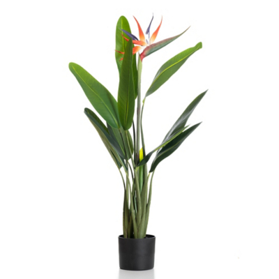 Scottish Everlastings Real Touch Bird of Paradise 100cm by George at ...