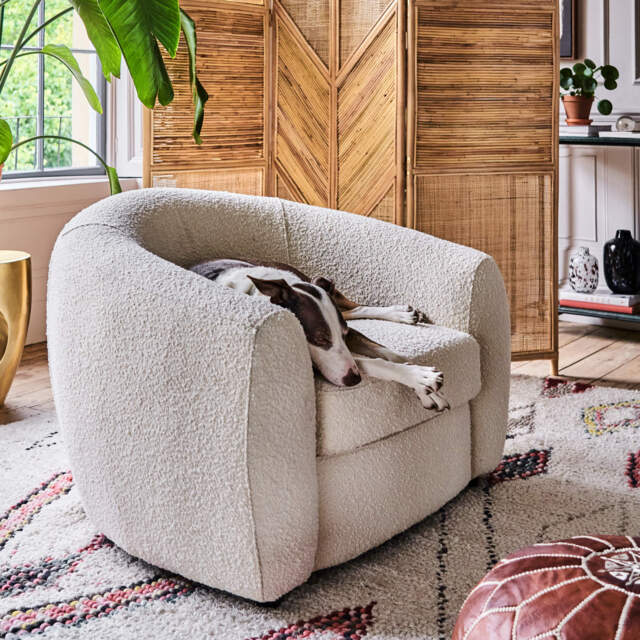 Graham and Green Lexi Ivory Bouclé Tub Chair by Graham & Green ...