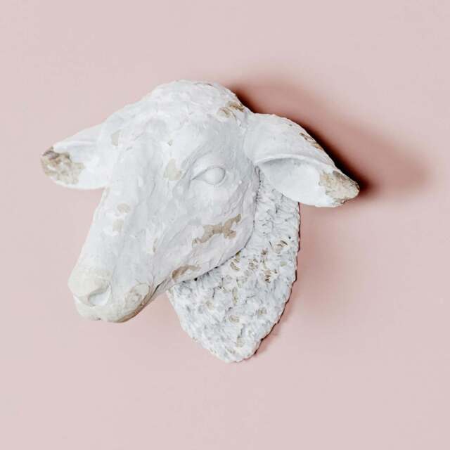 Graham and Green Sheep Head Wall Art by Graham & Green | ufurnish.com