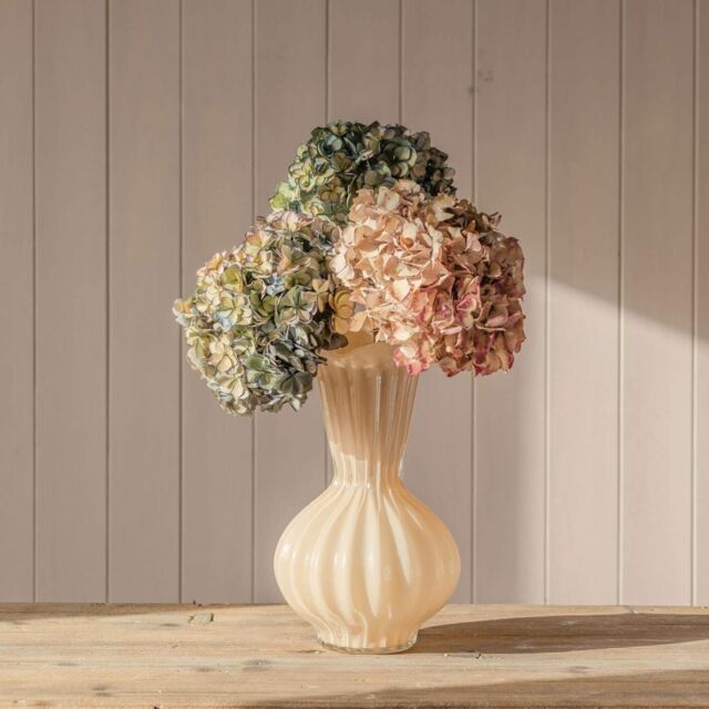 Graham and Green Large Beige Fluted Ruffle Vase by Graham & Green ...