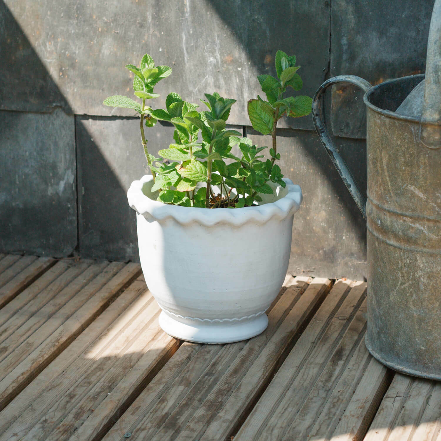 Graham and Green Large Fluted Whitewash Plant Pot by Graham & Green ...