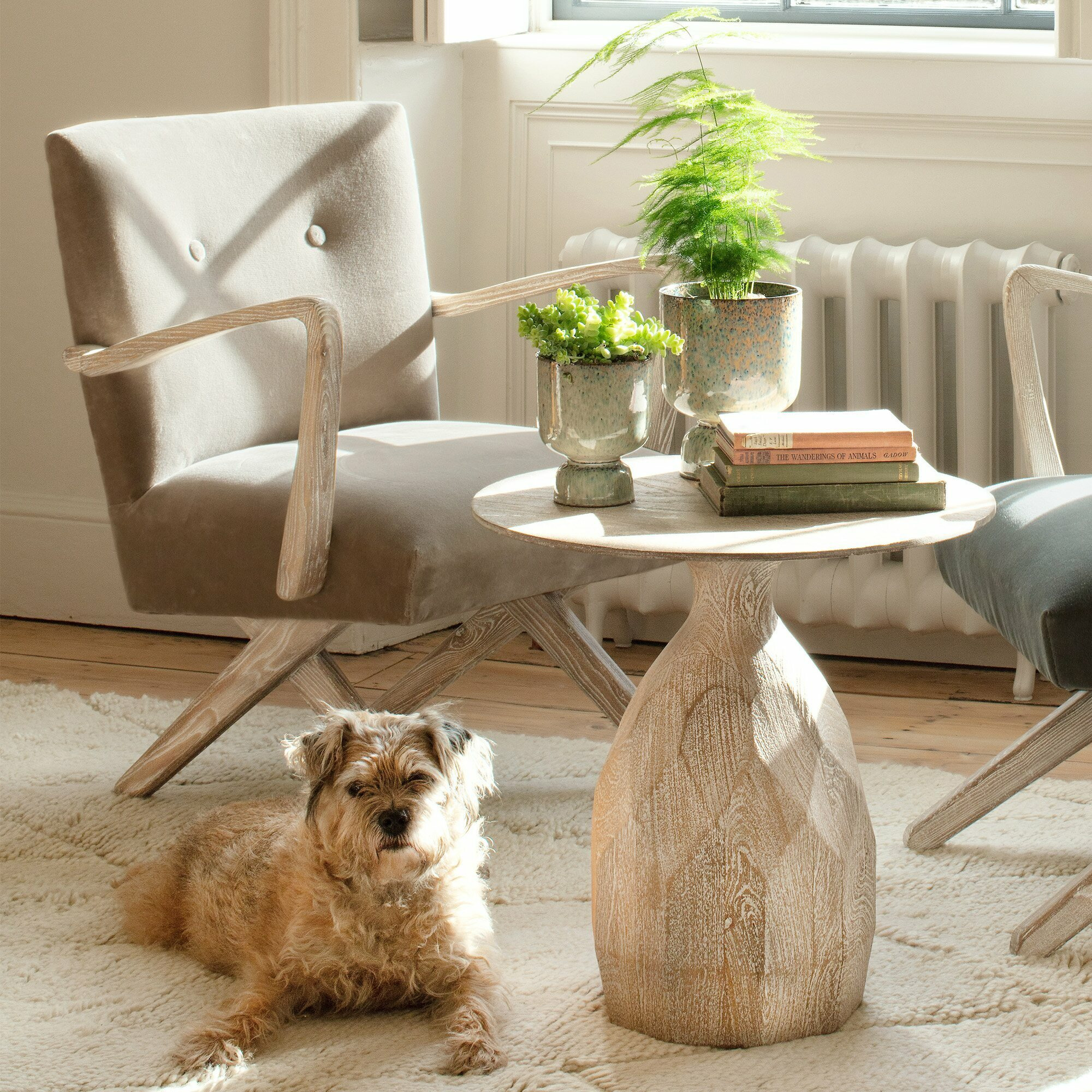 Graham and Green Pinecone Natural Side Table by Graham & Green ...