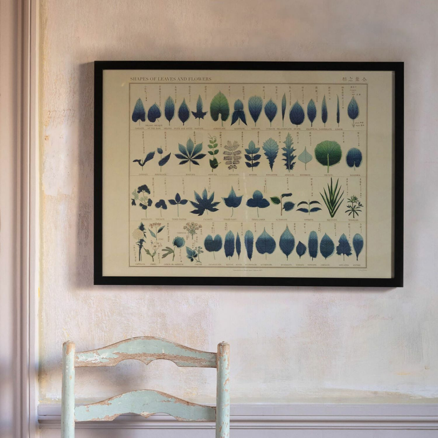 Graham and Green Framed Shape of Leaves Print by Graham & Green ...